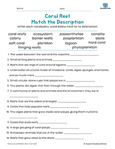 How Coral Reefs Are Formed for Kids – Video Lesson on Reefs, Polyps ...