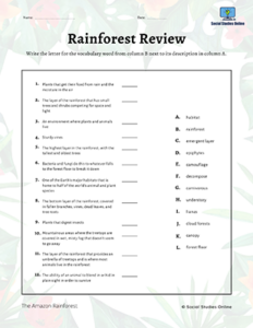 Amazon Rainforest Video for Kids – Explore Wildlife, Layers & the ...