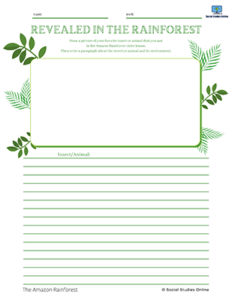 Amazon Rainforest Video for Middle School – Layers, Wildlife ...