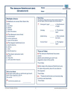 Amazon Rainforest Video for Kids – Explore Wildlife, Layers & the ...