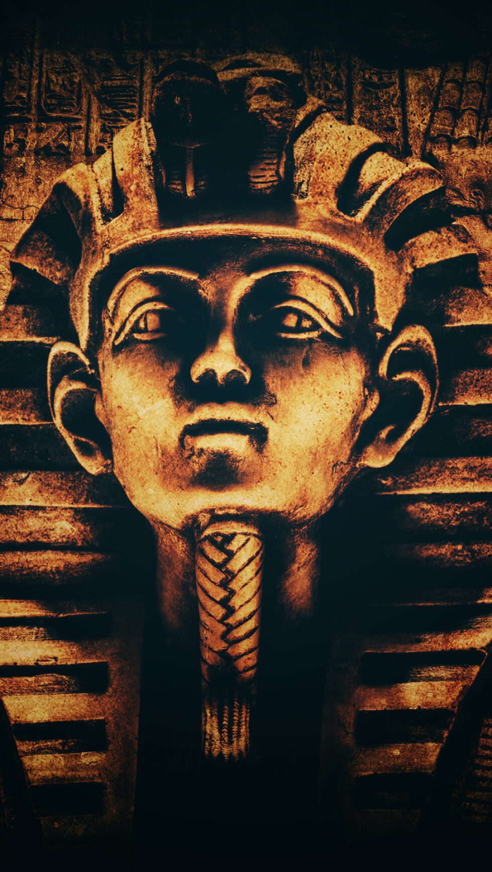 Engaging K–8 Social Studies Curriculum – Videos & Worksheets